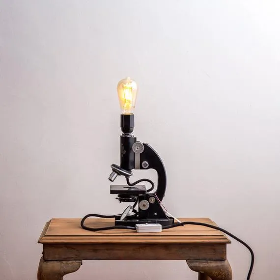 Industrial Microscope Lamp, Reclaimed Science Laboratory Lighting ...